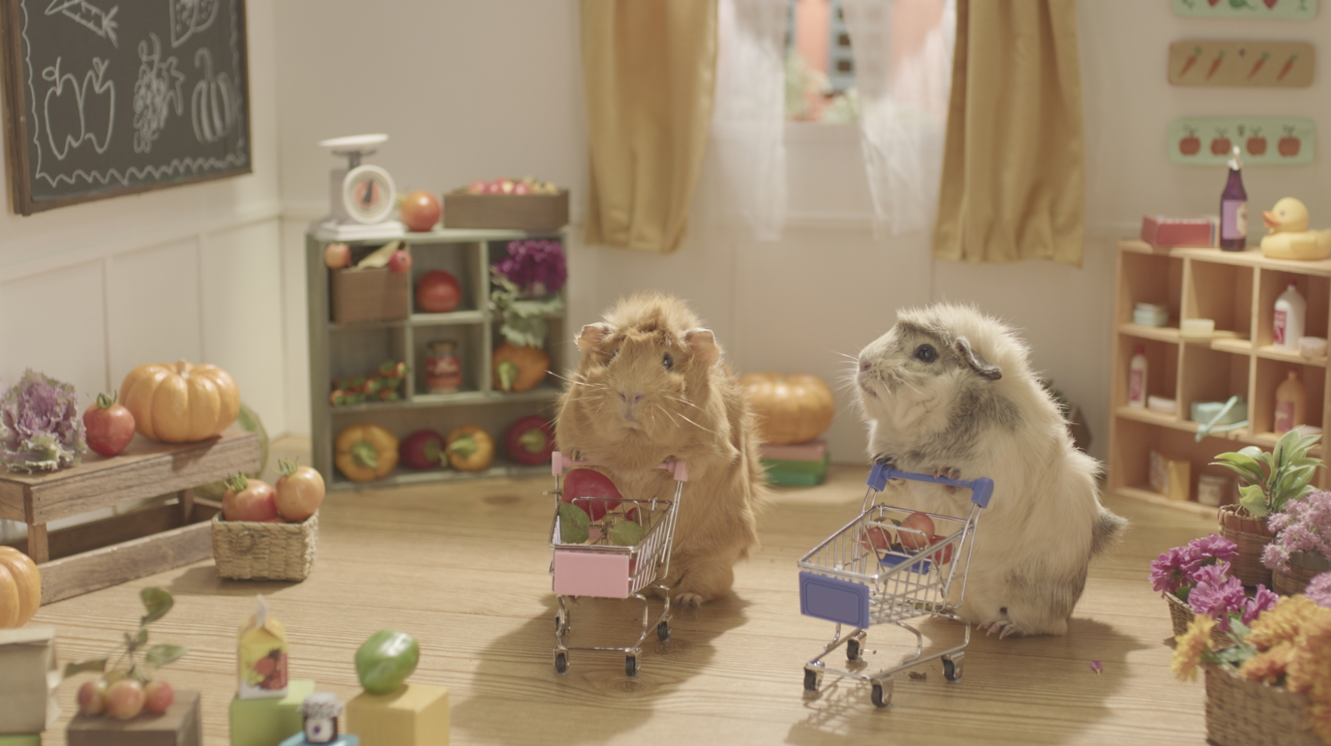 TVOkids Launches ‘Happy Place’—A New Series Teaching Kids Manners and ...